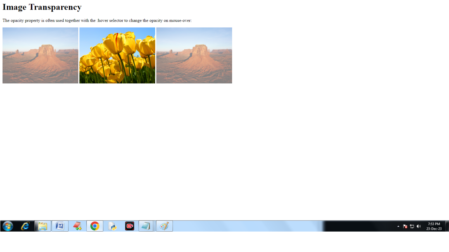 What is opacity in CSS with example - HTML CSS