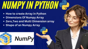 what is numpy in python - Python