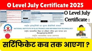 Ultimate Guide: Downloading Your NIELIT O-Level (July 2025) Certificate ...